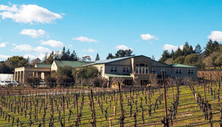 Merry Edwards Sauvignon Blanc - Winervana